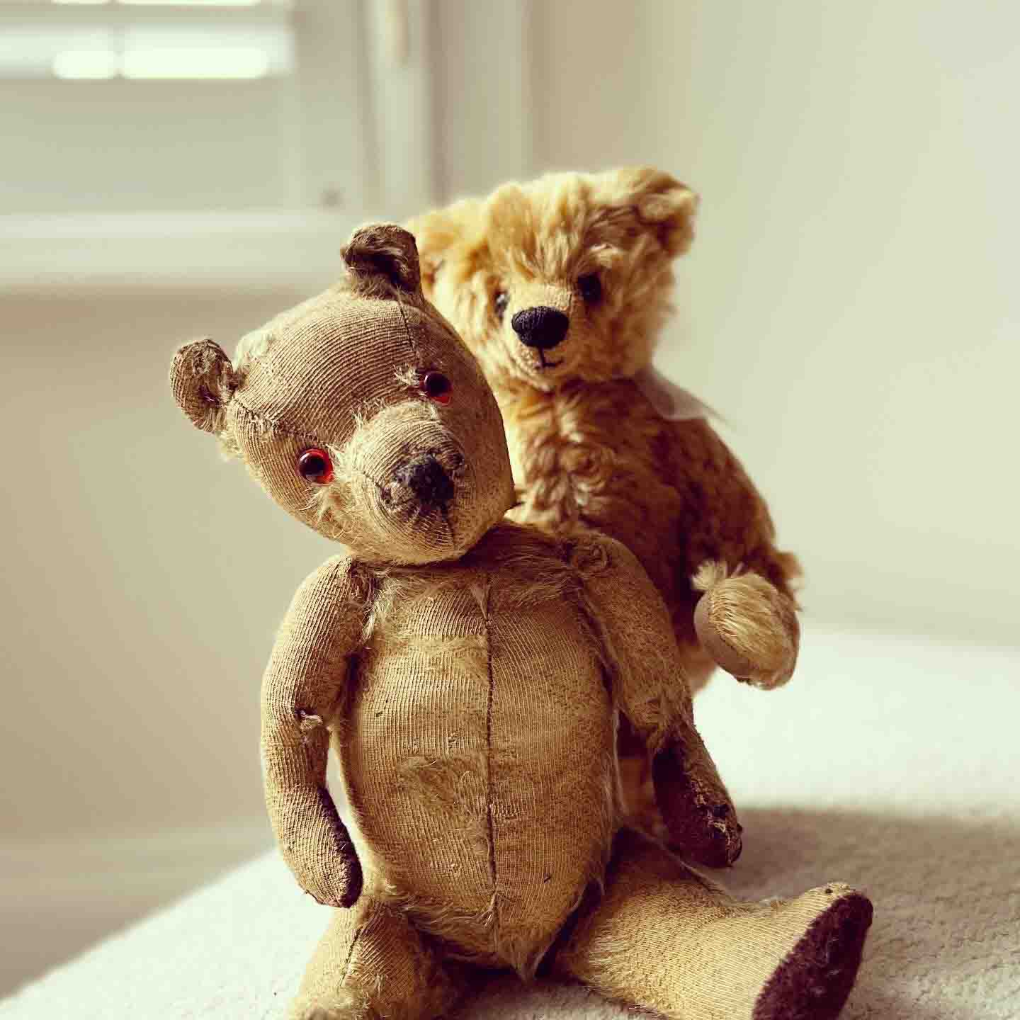 What to Do with Old Stuffed Toys?: Detailed Guide